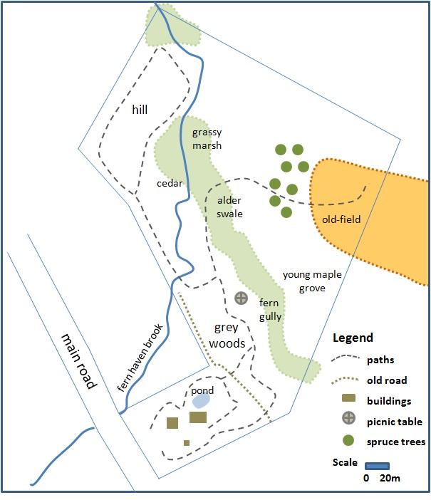 map of the grey woods | nichepoetryandprose
