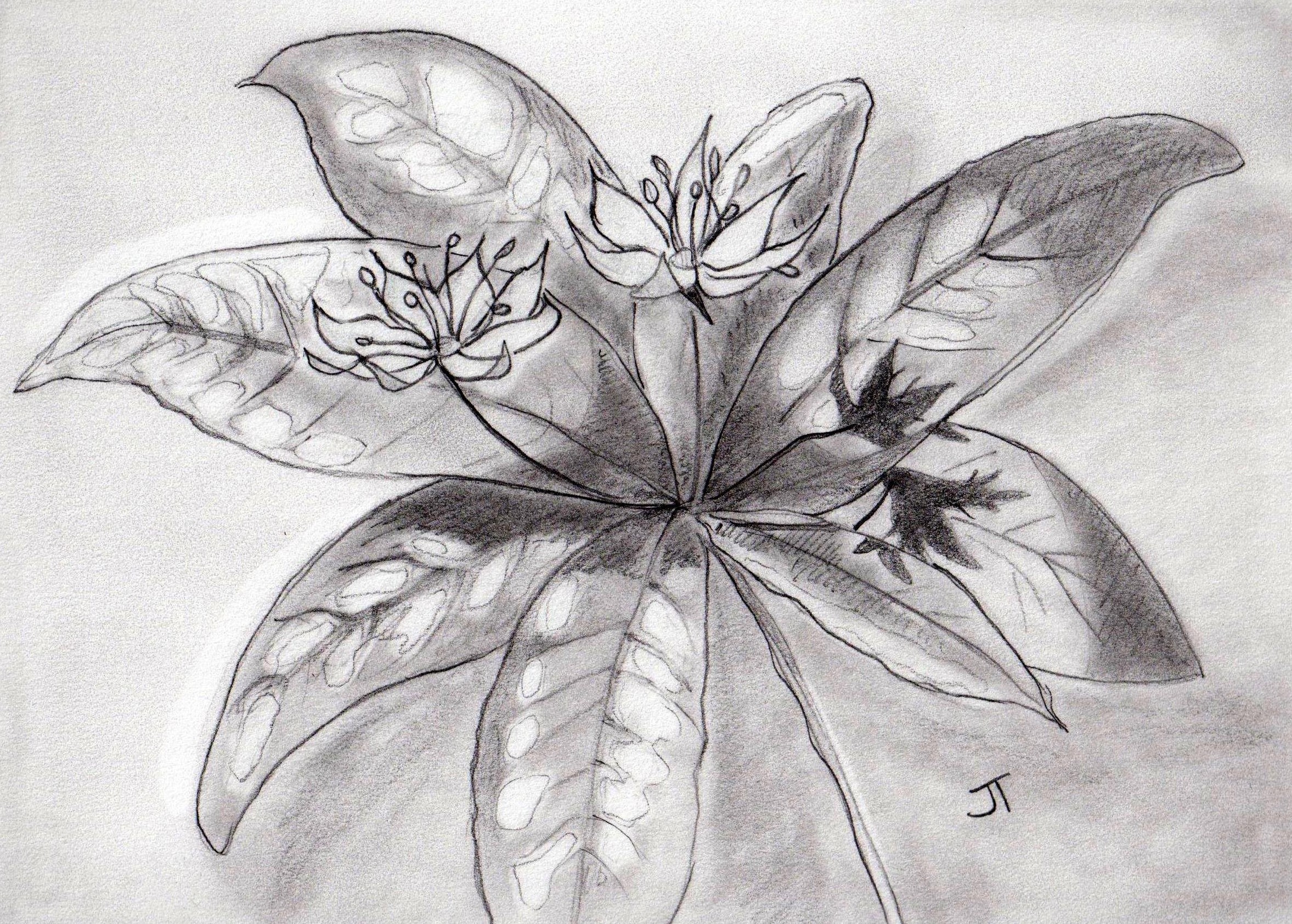 nichepoetryandprose | poetry and prose about place